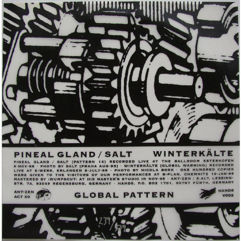Pineal Gland Zirbeldruese / Salt, Winterkälte - Global Pattern - Vinyl 7" - 1996 - DE - Original ...