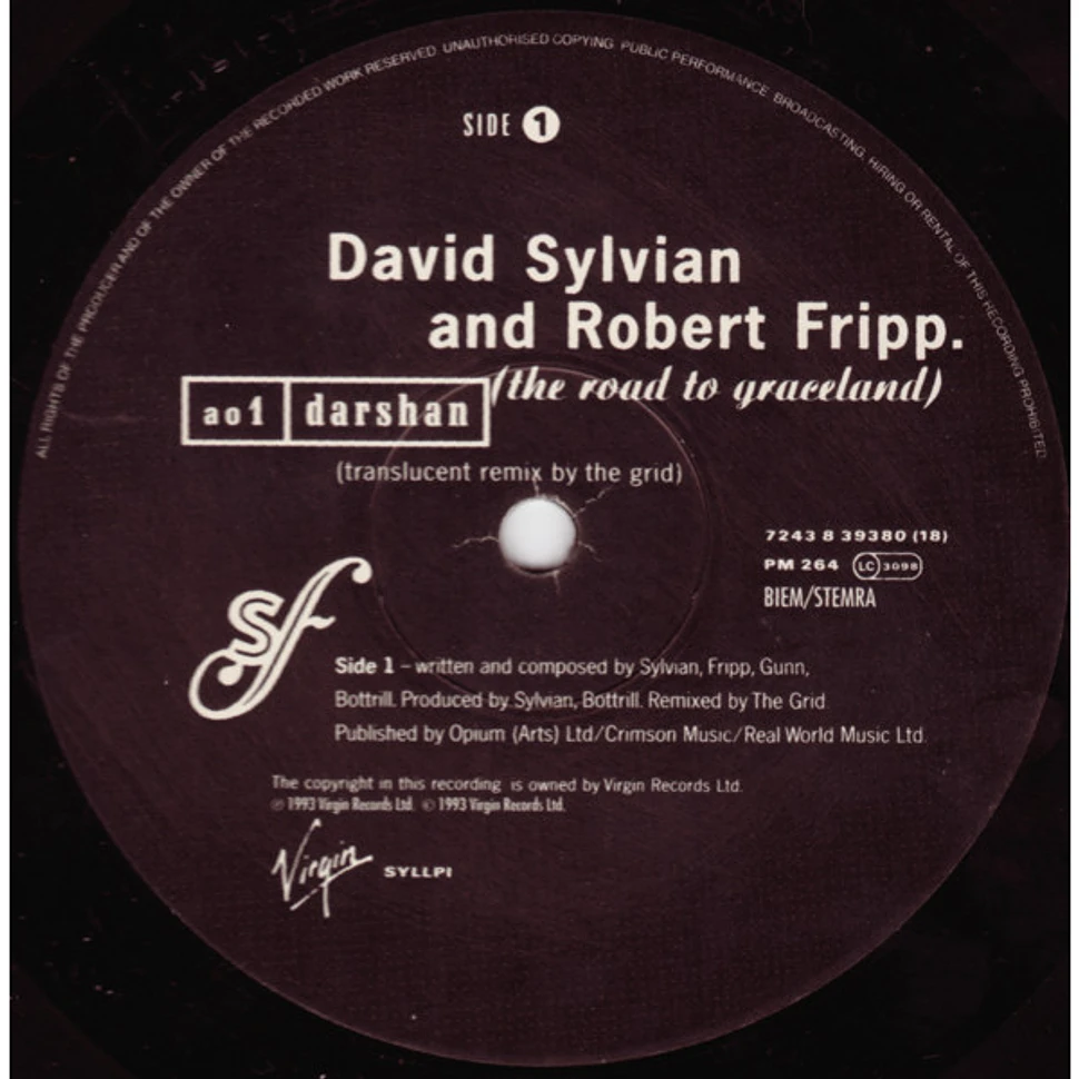 David Sylvian & Robert Fripp - Darshan - Vinyl 12" - 1993 - Original | HHV
