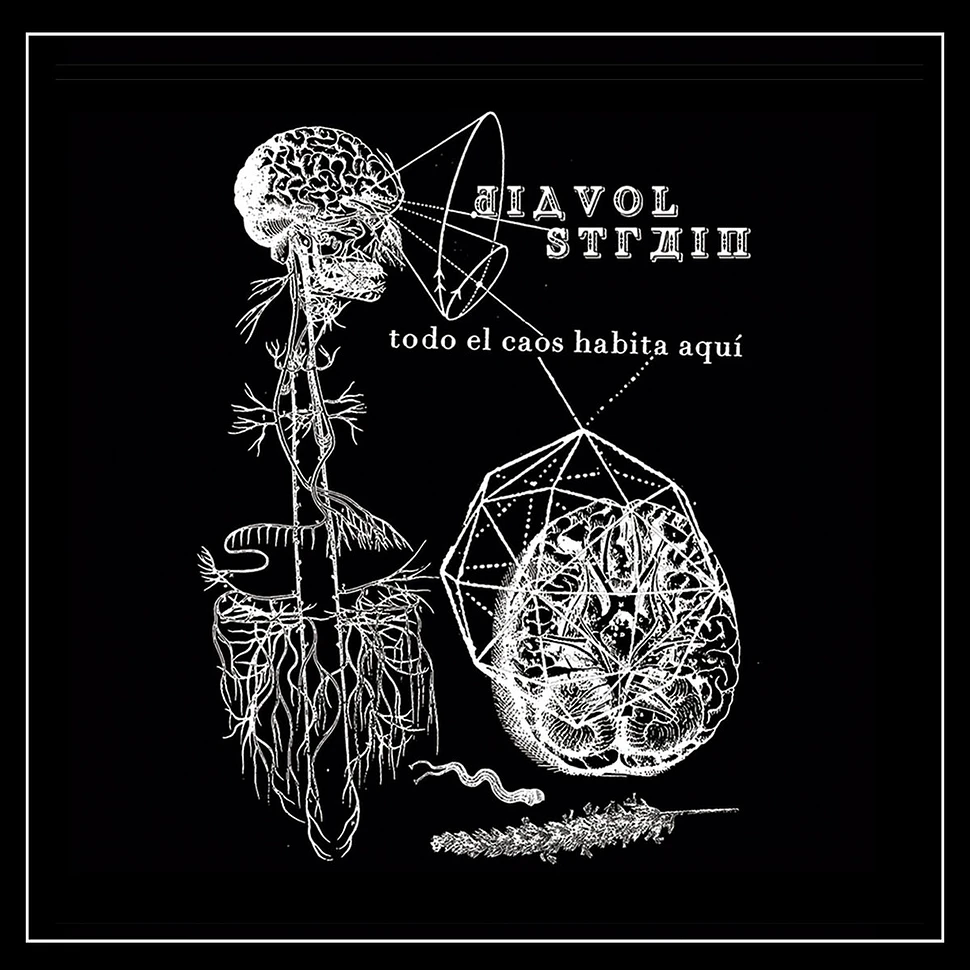 Diavol Strain - Todo El Chaos Habita Aqui Red & Black Vinyl Edition ...