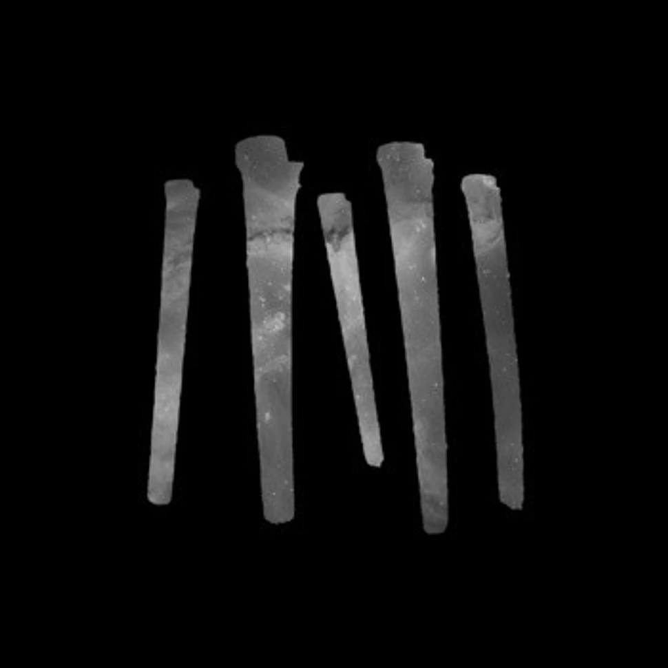 Anatomy Of Habit - Anatomy Of Habit - Vinyl LP - 2011 - US - Original | HHV